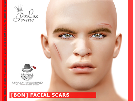 Second Life Marketplace - ♕ Lex.Prime - [BOM] Facial Scars